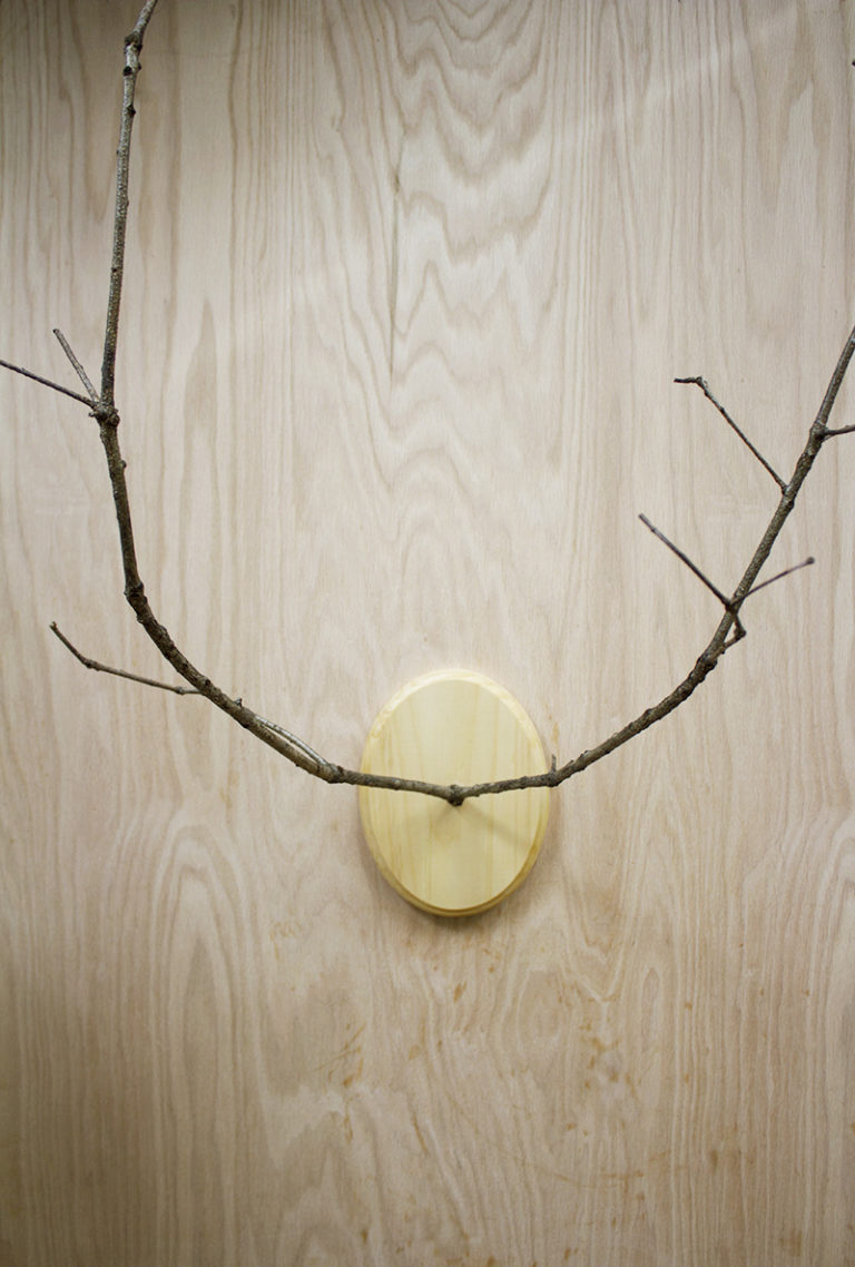 DIY Branch Antlers on Annabode